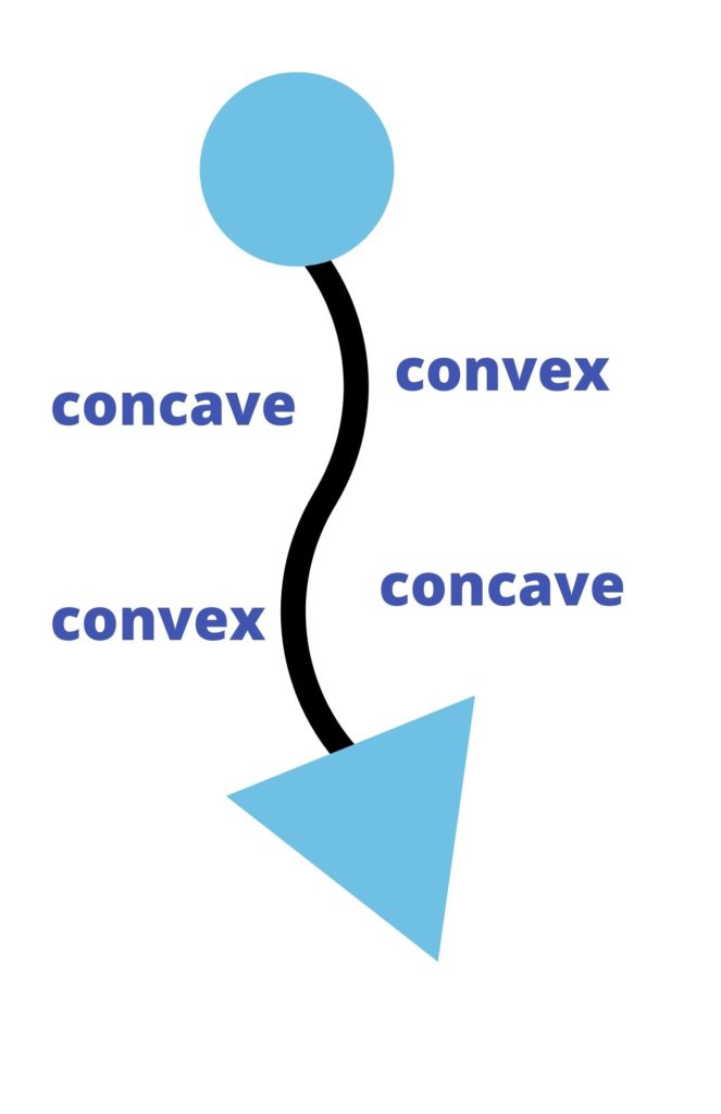 Can Pilates help with Scoliosis